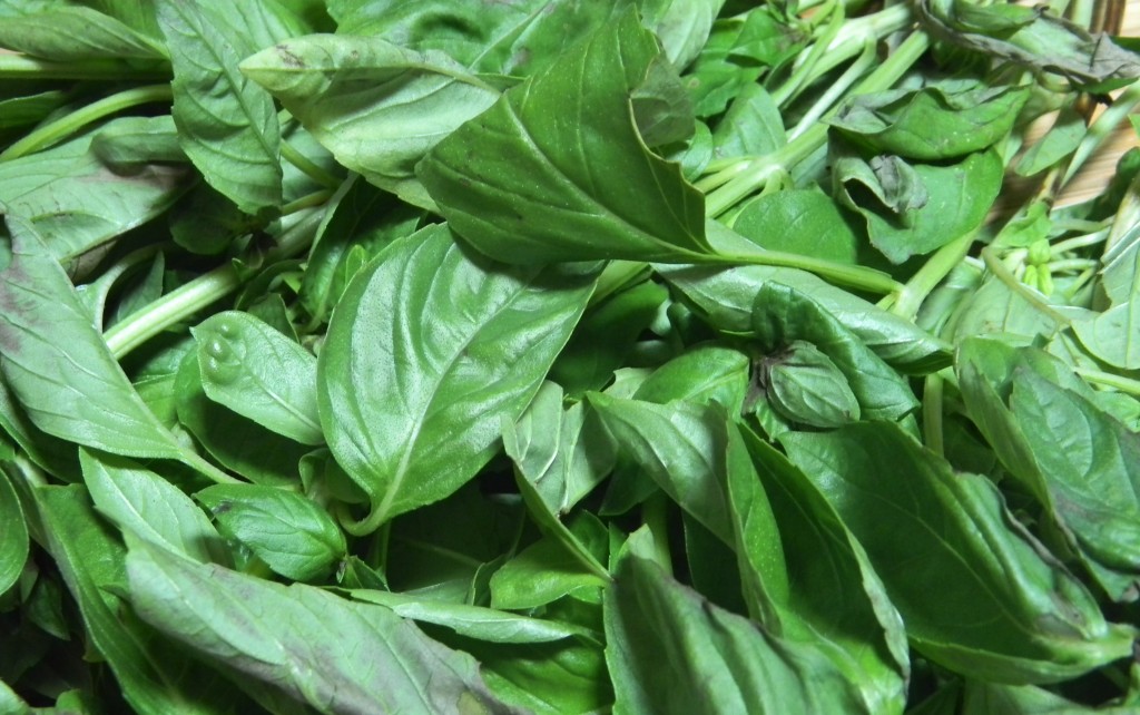 3 Reasons to Go Vegan - Kuli Kuli Foods