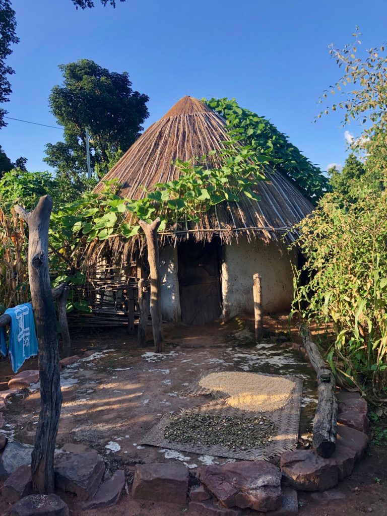 Village Huts in Senegal - Kuli Kuli Foods